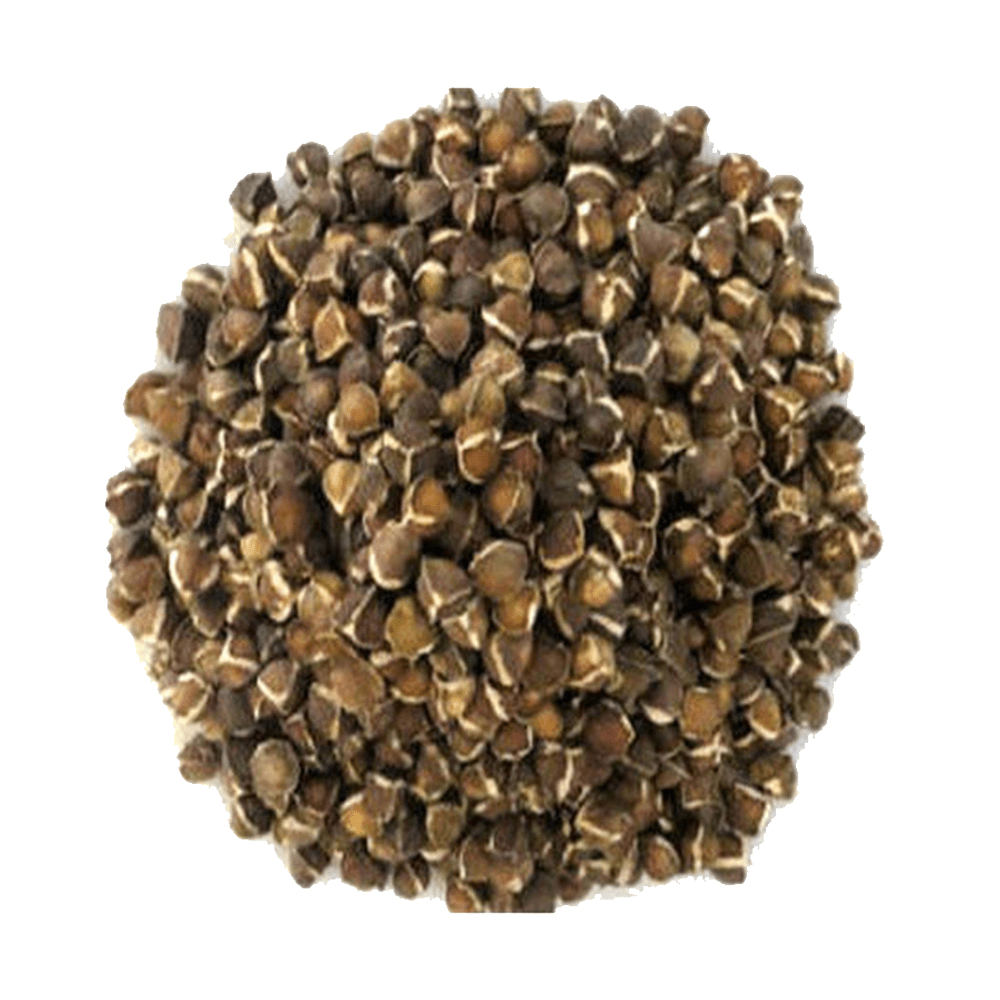 Moringa seed - KERONAL TRADING HUB